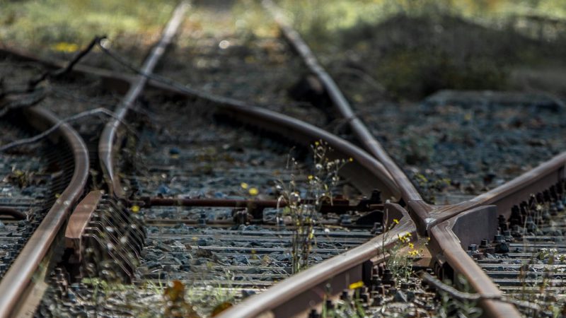 DYSFUNCTION JUNCTION | Blog | Insights | Stephanie Bown